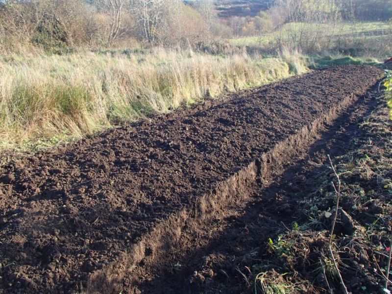Agriculture for Climate Change: Land Rehabilitation and Small-scale ...